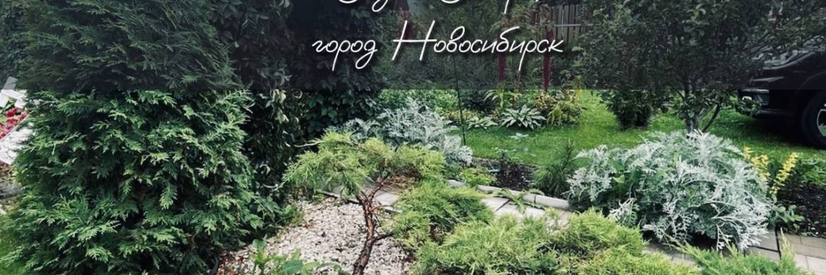 Сад в Сибири  Елены Еремеевой