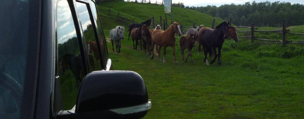 Страна УАзия