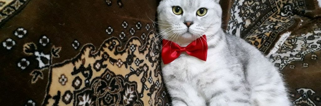 Провинциальный толстяк.