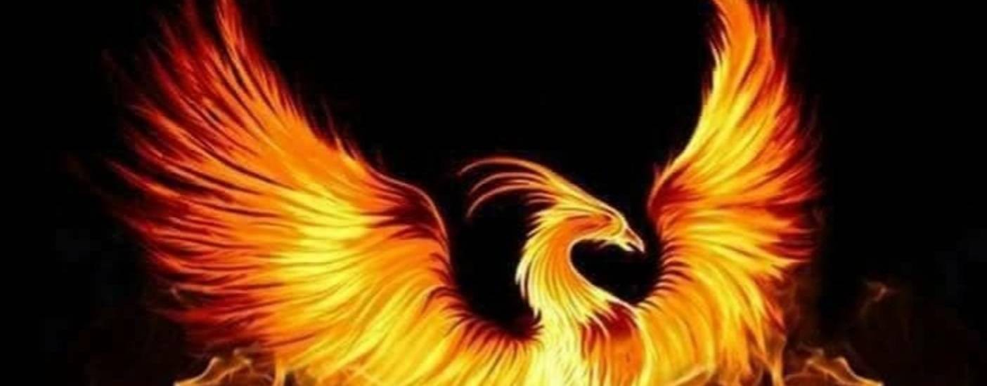 ----Феникс----