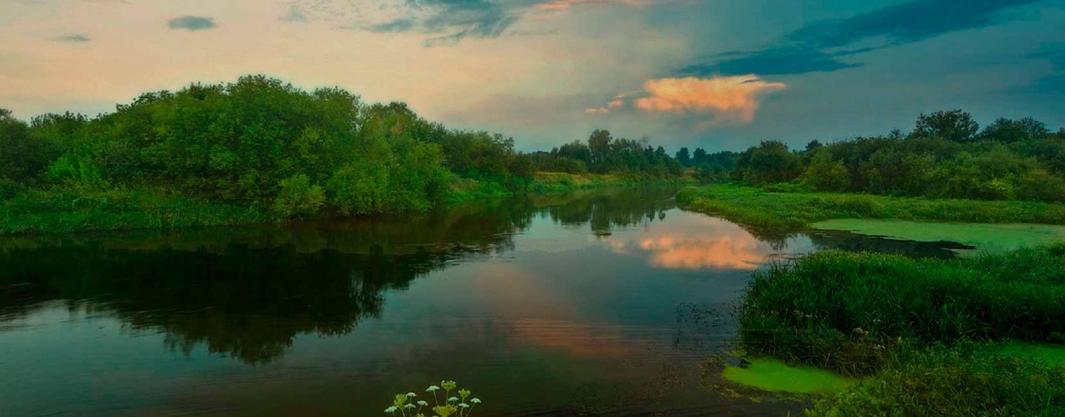 EcoUcha - Экология реки Уча