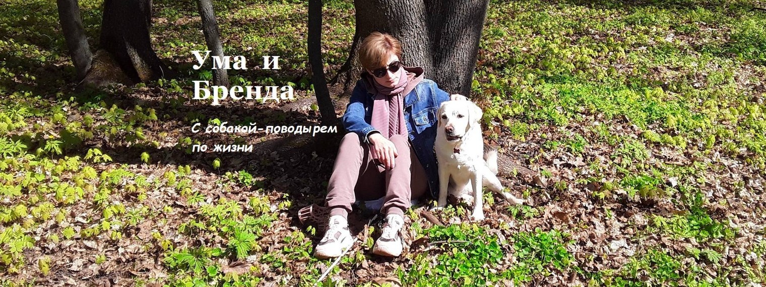 Ума и Бренда