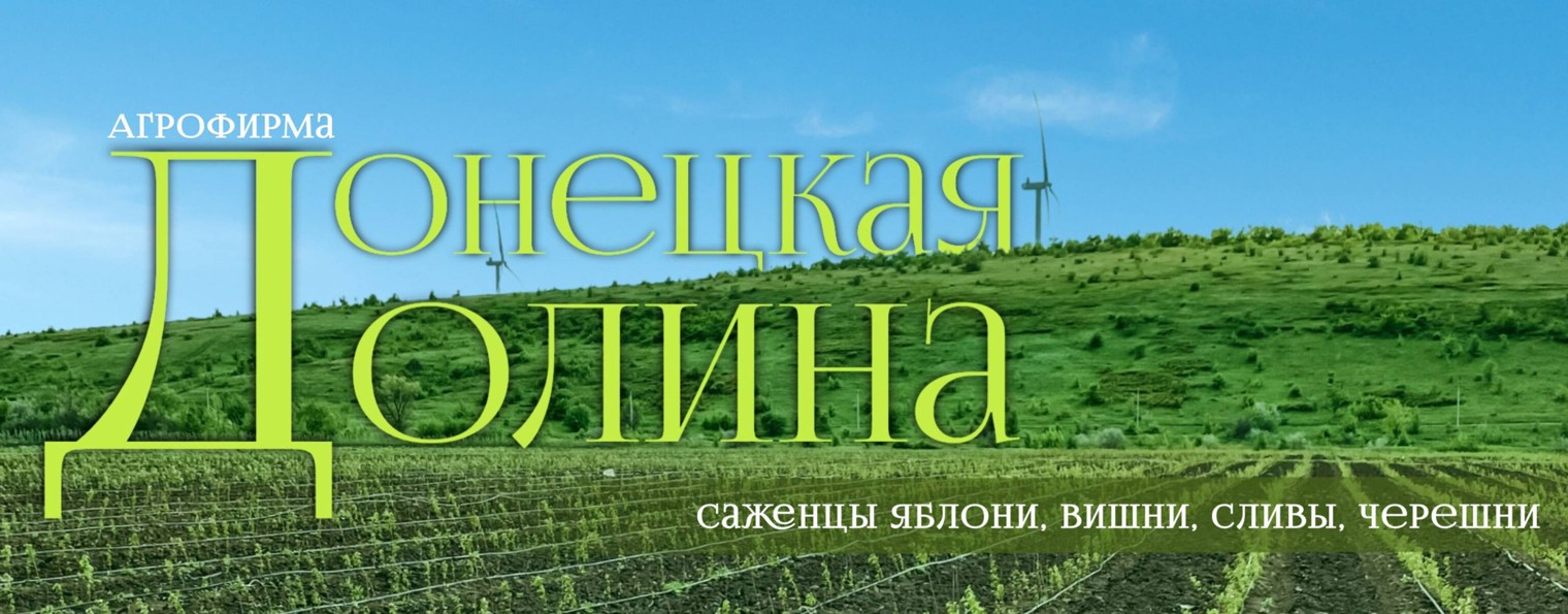 ДОНЕЦКАЯ ДОЛИНА