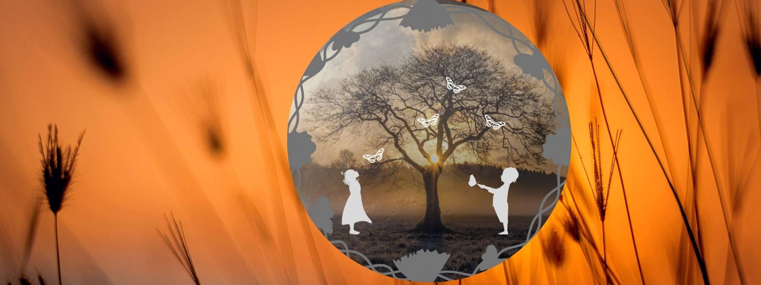 Свет Анархии