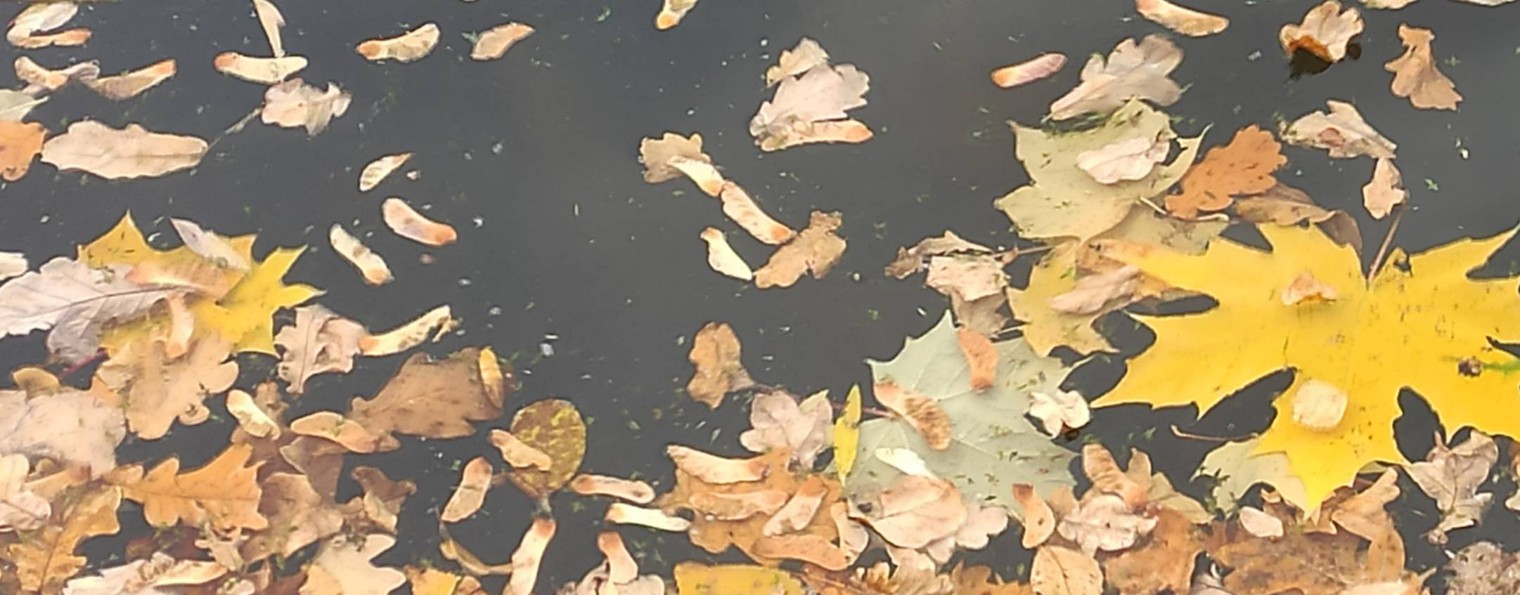 Сергей Яценко