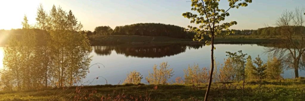 Психологическая Помощь "MANGO"