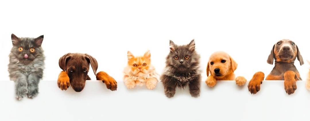 Всё и сразу