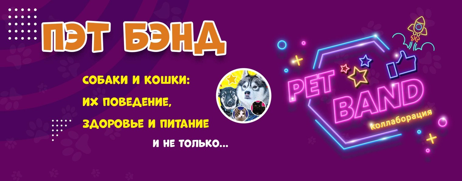 Хаски Ричард и его стая