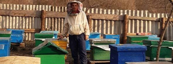 Пасека в казначеевке