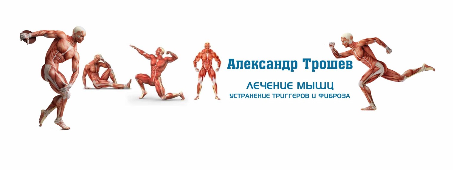 Александр Трошев