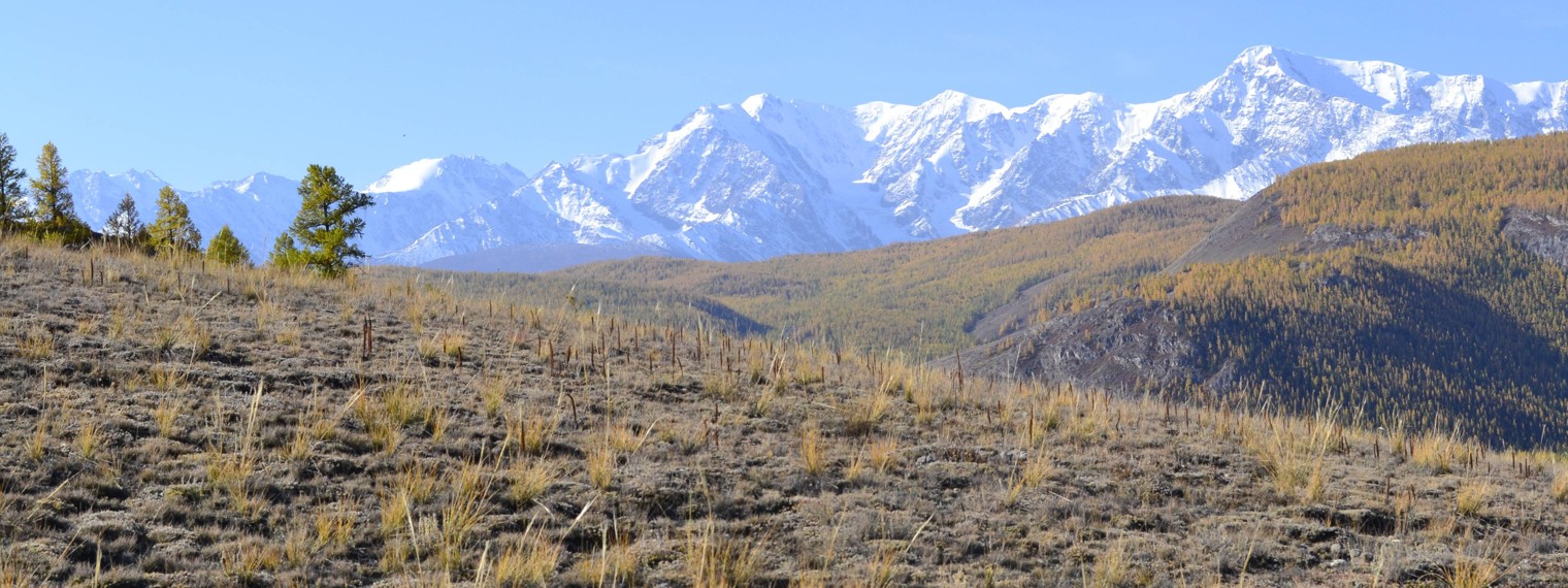 Путешествие длиною в жизнь