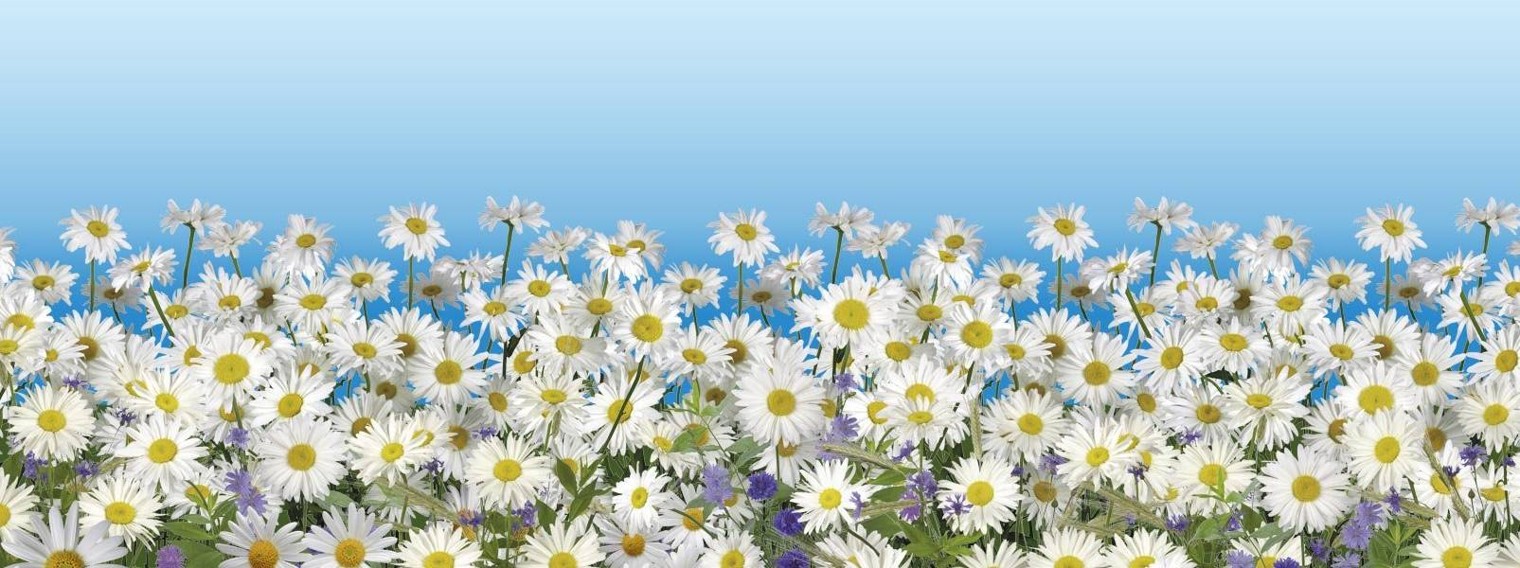 Ольга Михайлова