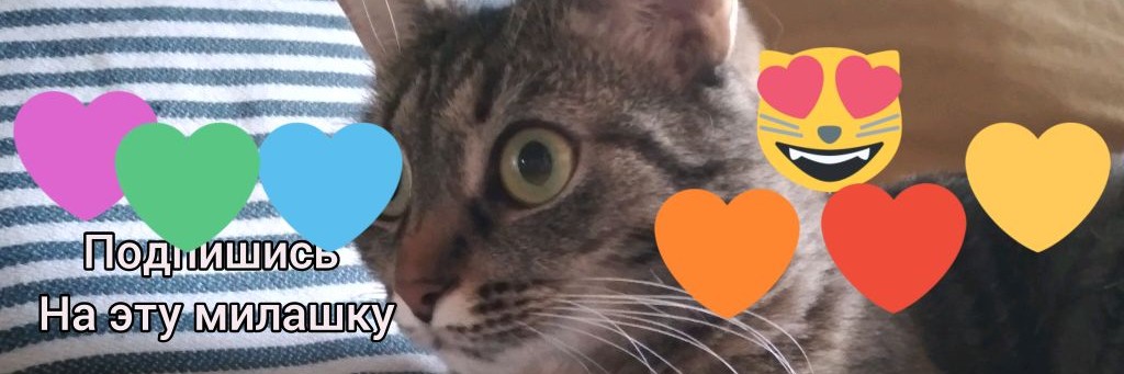 Кошечка Маруся