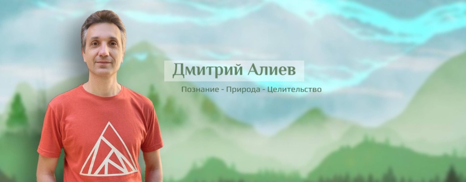 Дмитрий Алиев