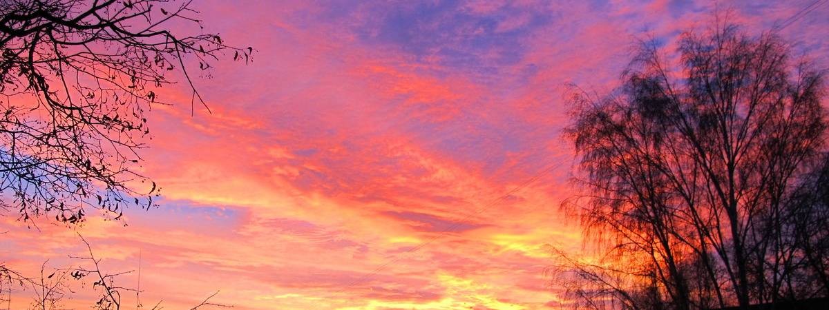 Ирина Белоусова