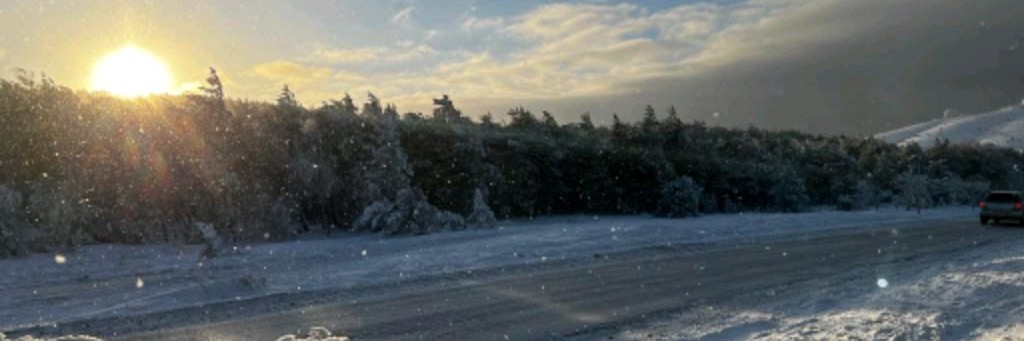 Вадим Котов