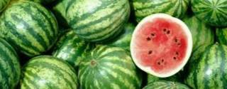 Арбуз