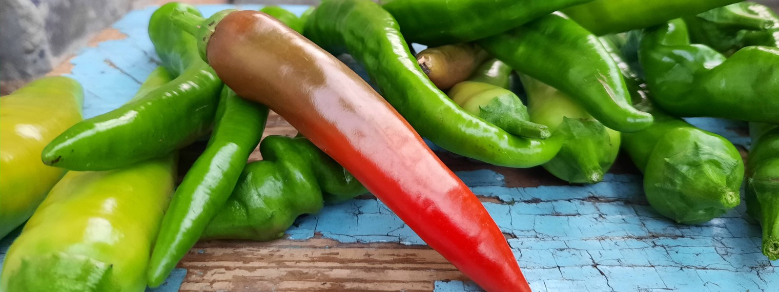 rutube_account_16028549