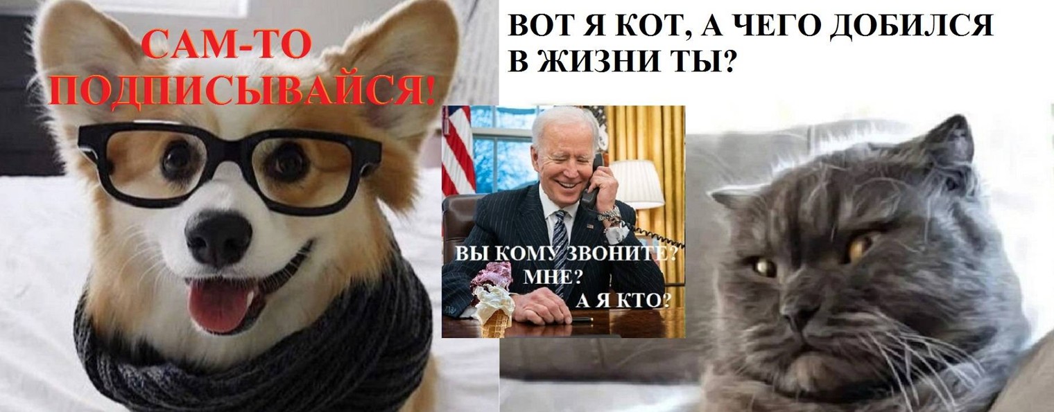 Краевская    rutube_account_202688