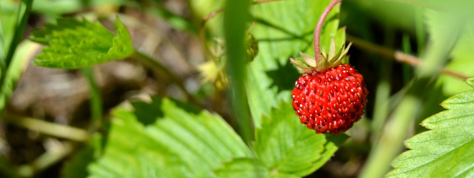 rutube_account_23585374