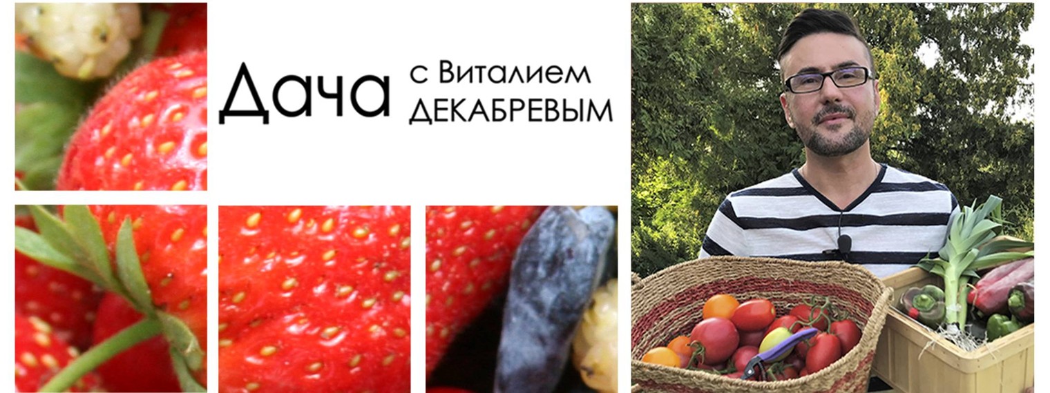 Дачный Угодник Виталий Декабрёв