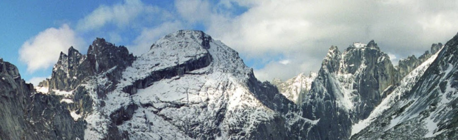 ГРУША - группа Шахновича