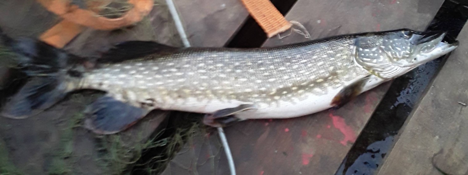 Океанариум Подводного Мира