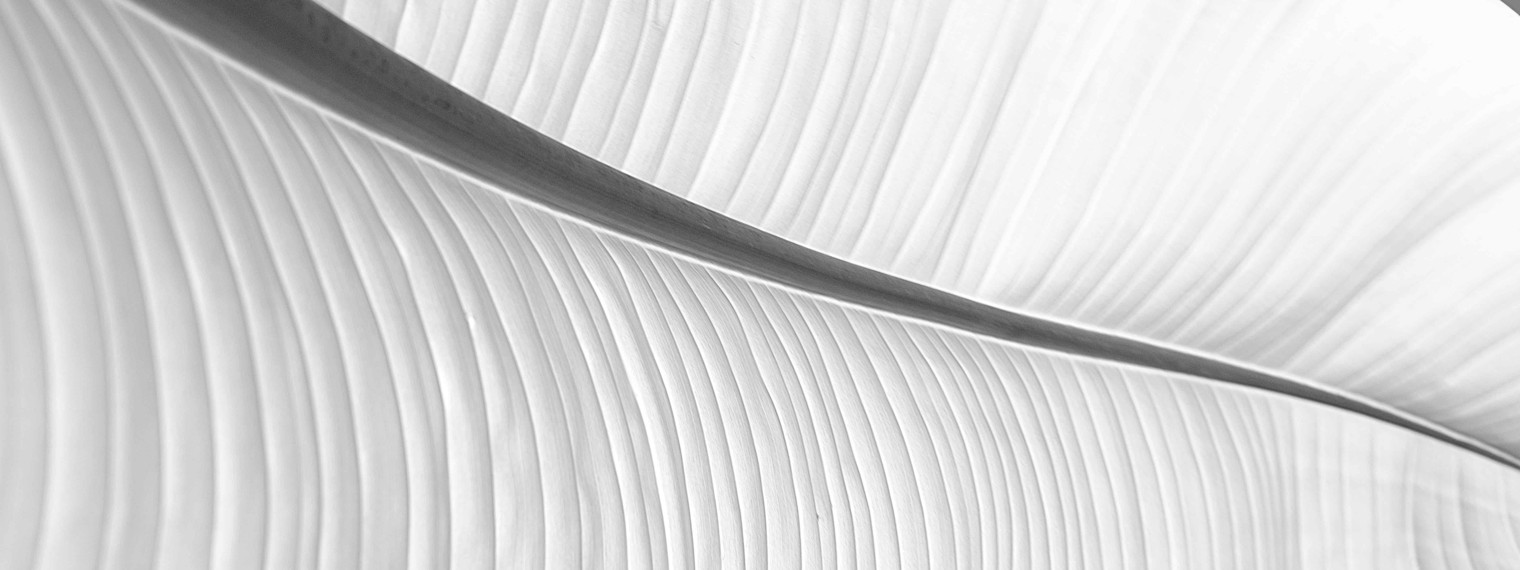 Елена Лихач