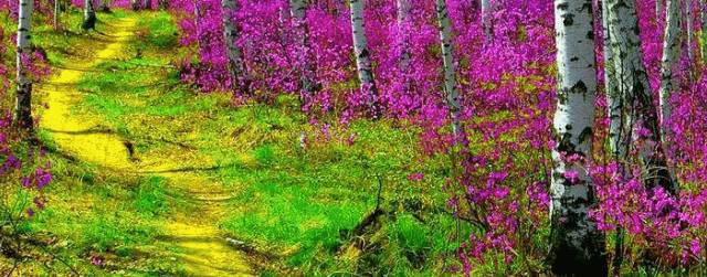 Пенсионеры знают все или почти все