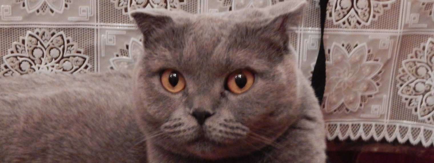 Александр Тюрин