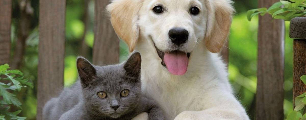 Все самое интересное в мире интернета