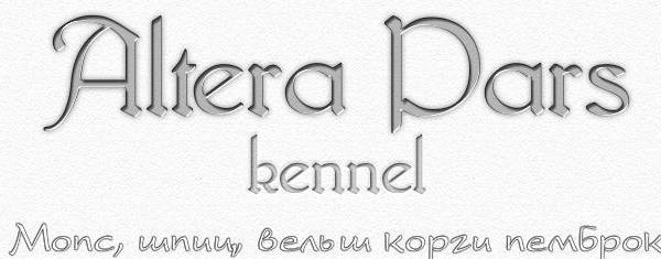 Корги, мопсы питомника "Альтера Парс"