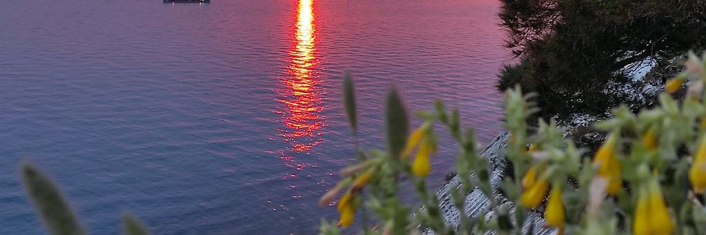 Марина Субботина