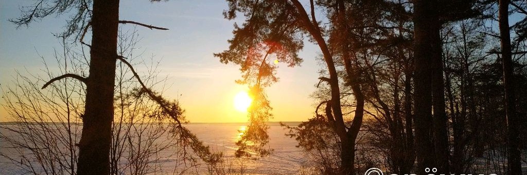 Сергей Лопачев