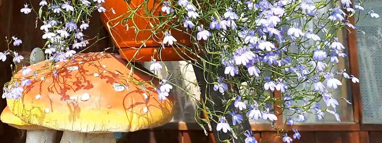 Иришкины  делишки.