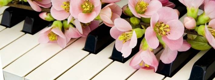 ДМШ №1 ПОДОЛЬСК