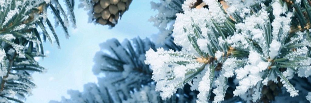 Татьяна Забалуева