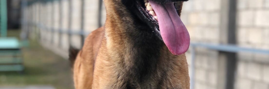 Женька и Имка