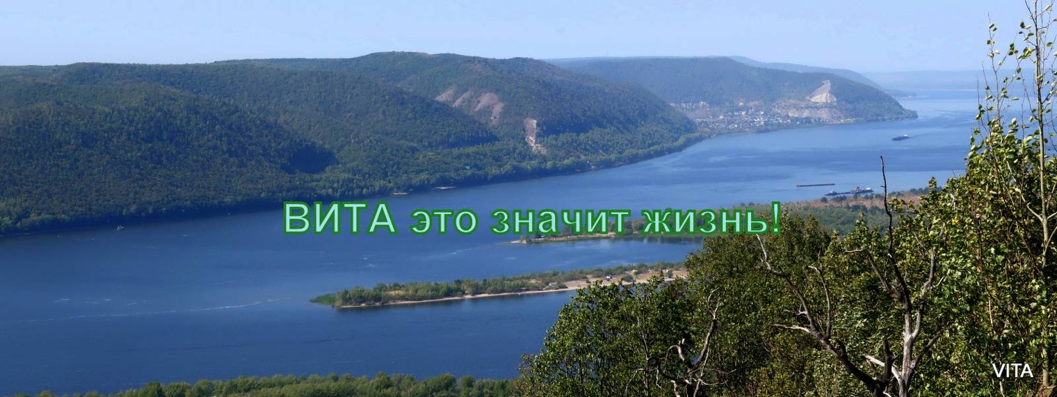 Вита