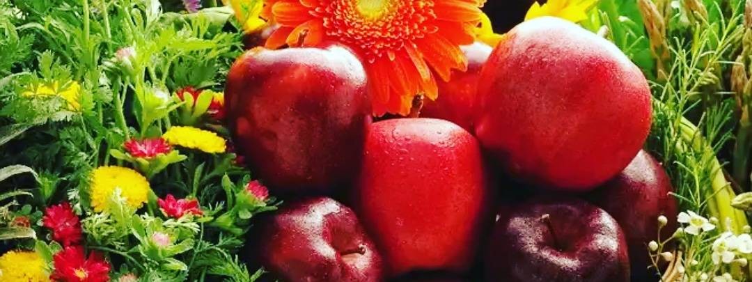 ДАВАЙТЕ ПРИГОТОВИМ!!!