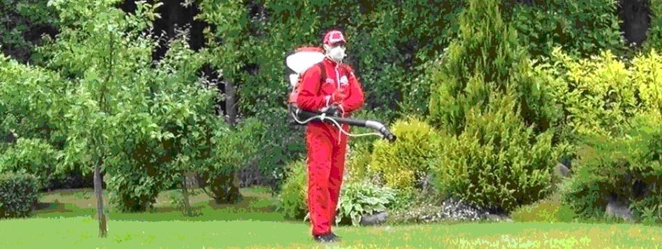 Дезинфекция от Эко -Плюс