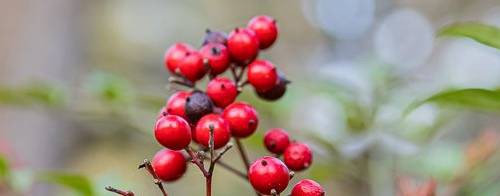 Наталья Хилимончик принимающий туроператор