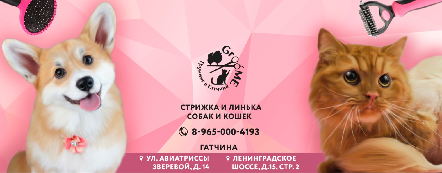 Елизавета Морозова