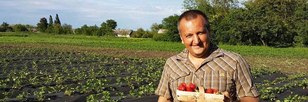 Ягодная ферма Зубцовых