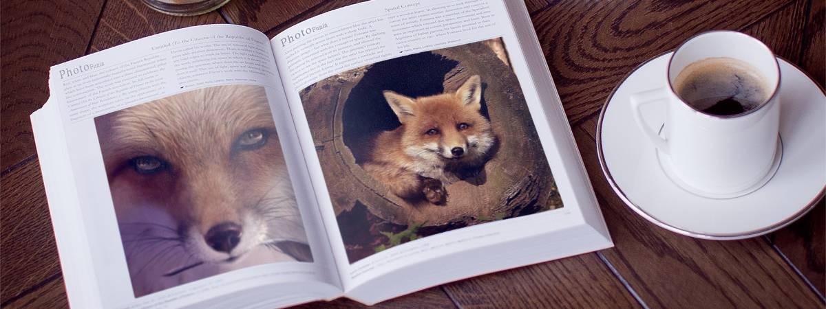 Сказки Старого Лиса