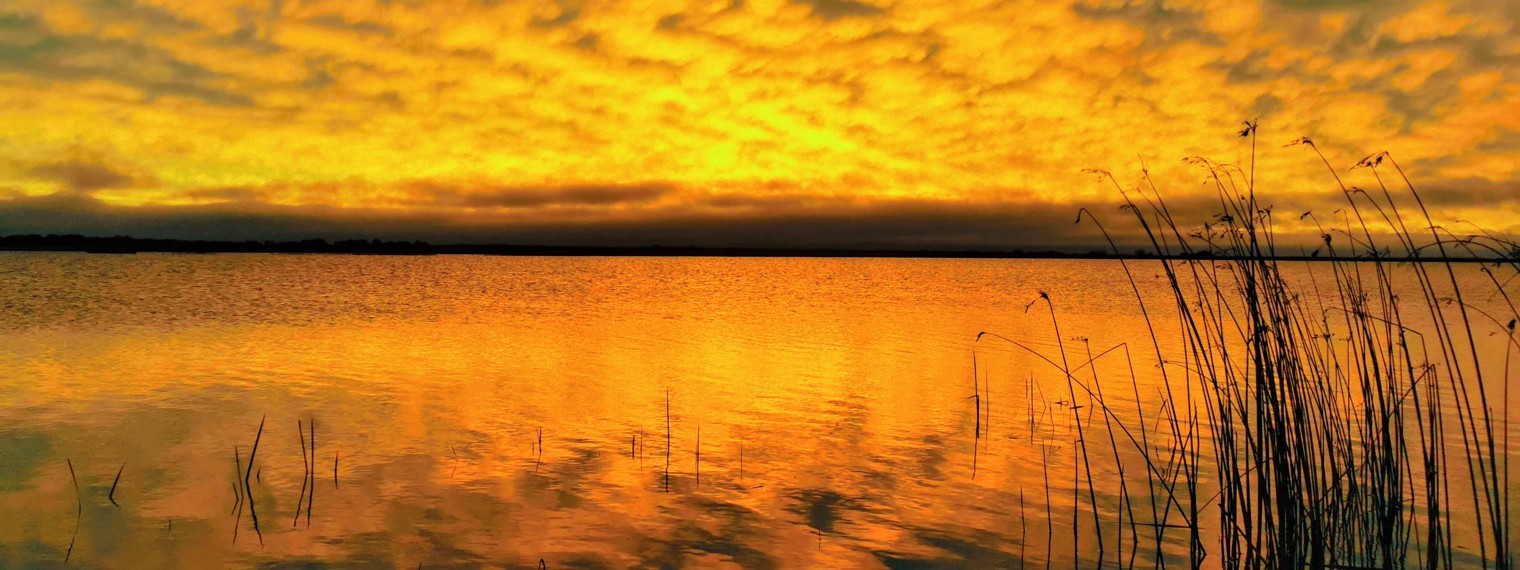 Я-Добытчица