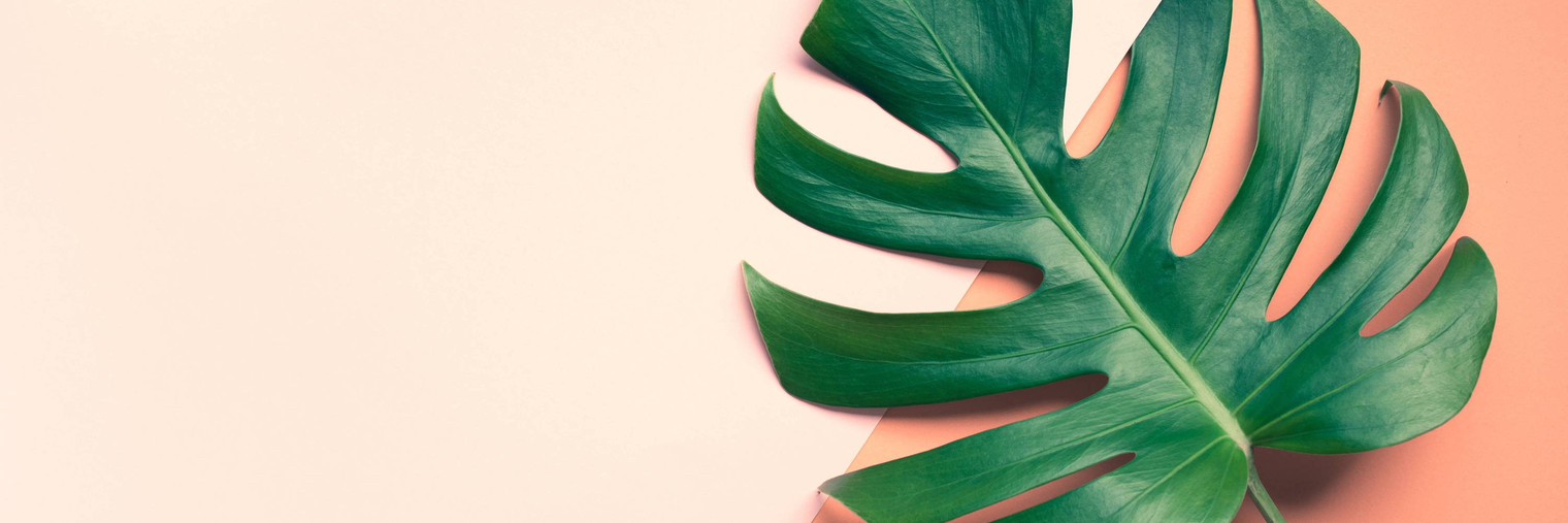 Даша ПИЛАТЕС