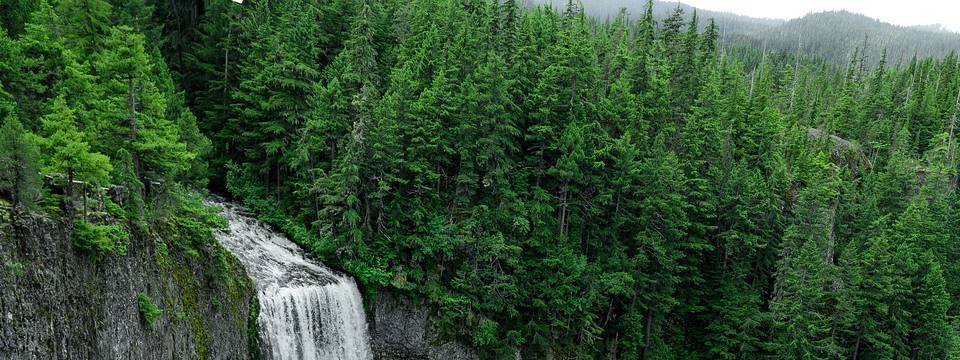 Кристина Ведерникова