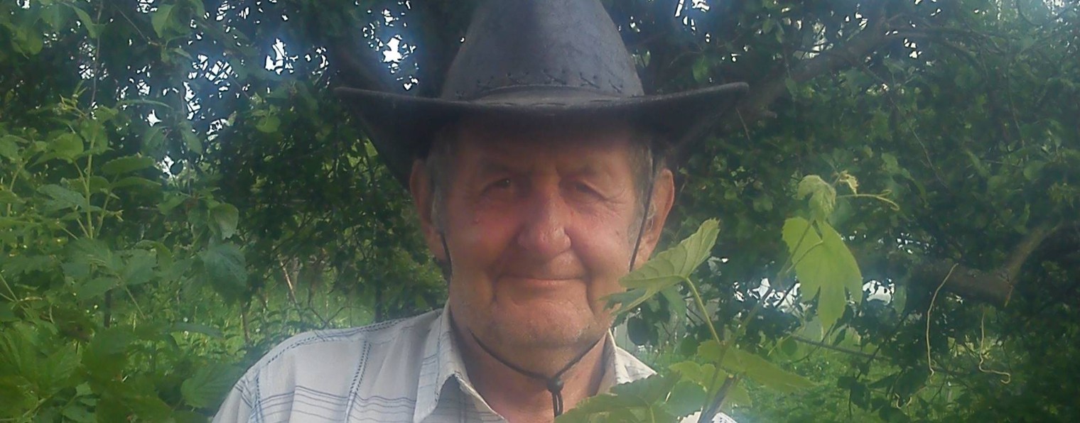 Успешное выращивание винограда в Подмосковье