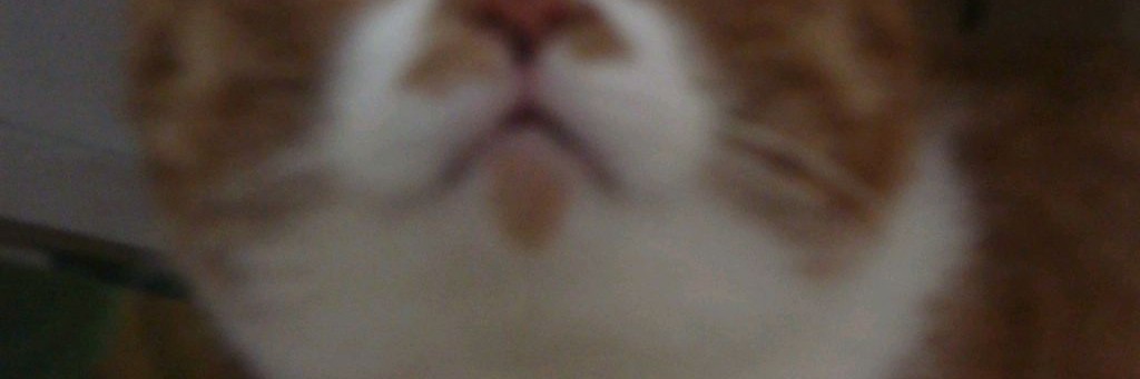 Одинокие души